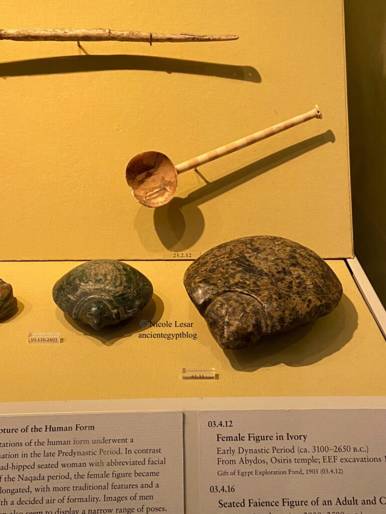 Early Dynastic Turtle Art - Ancient Egypt Blog